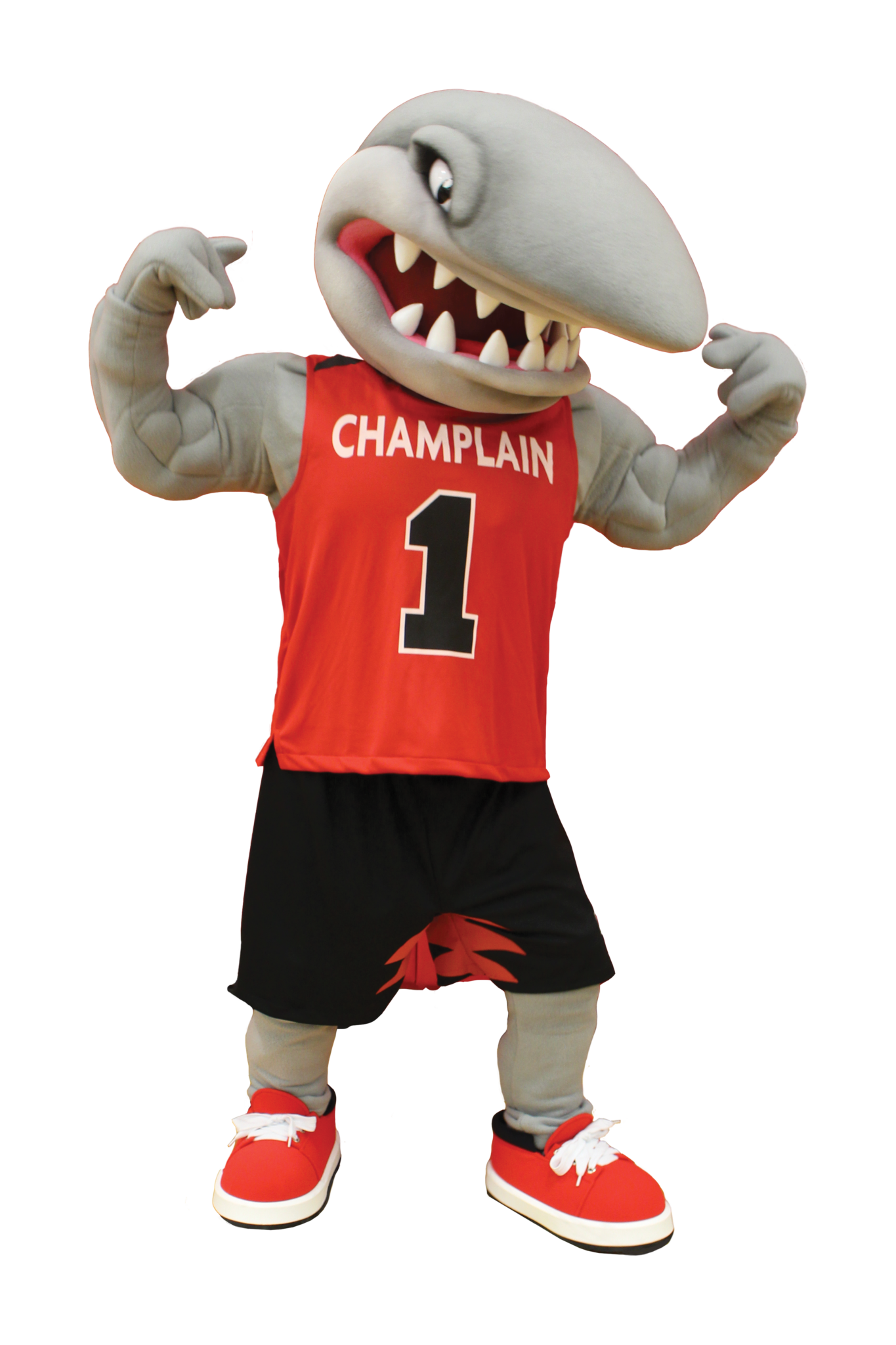 Accueil - É.s.c. Champlain